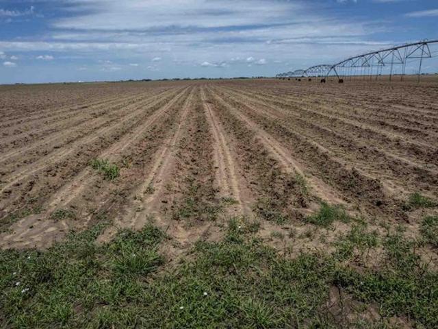 1730 S Slide Rd, New Home, TX 79383