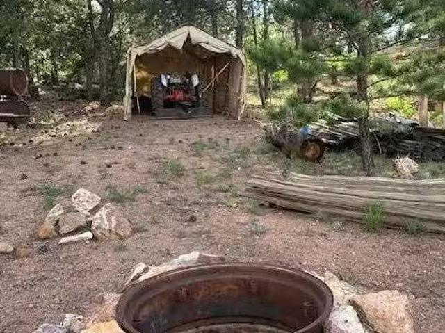 1731 Badger Creek Rd, Guffey, CO 80820 MLS 4180789