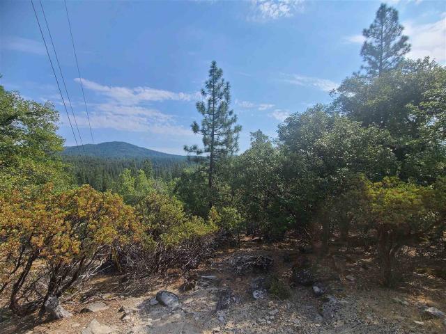 17320 Mt Everest Ct, Sonora, CA 95370 | MLS #20241