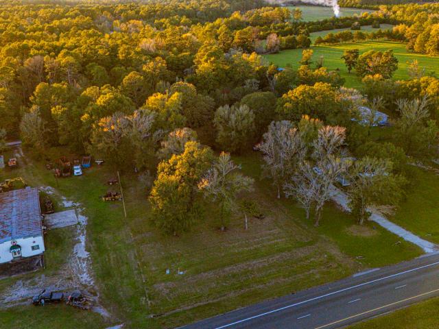 17325 US Highway 59 N