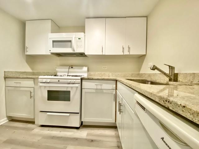 1732 W 18th Pl, Unit GR, Chicago, IL 60608 | MLS #12625 | Compass