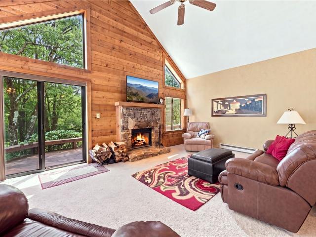 1733 Snowfield Drive