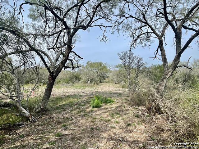 173 County Road 1670