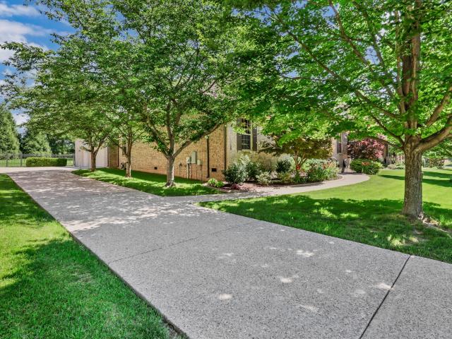 173 Chester Stevens Rd