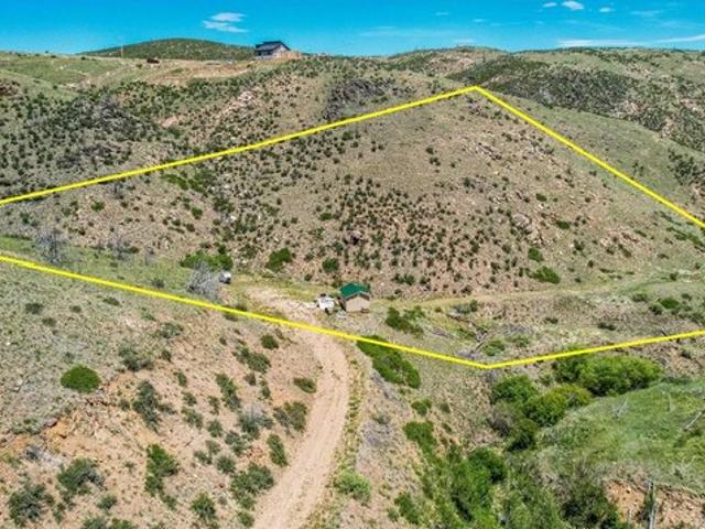 173 Grays Peak Ct, Livermore, CO 80536