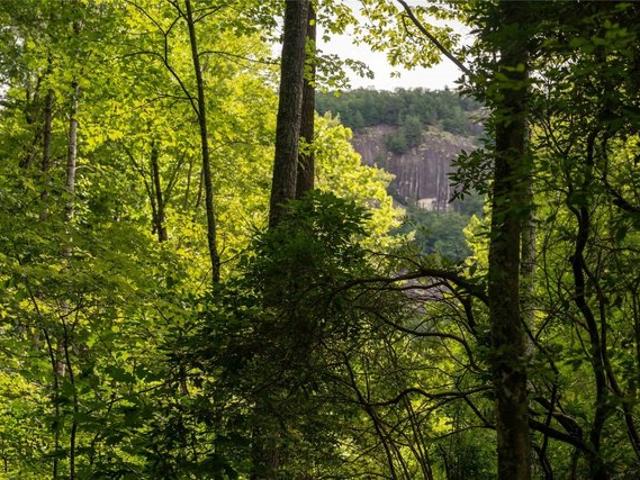 173 Lonesome Valley Rd Lot 173, Sapphire, NC 28774