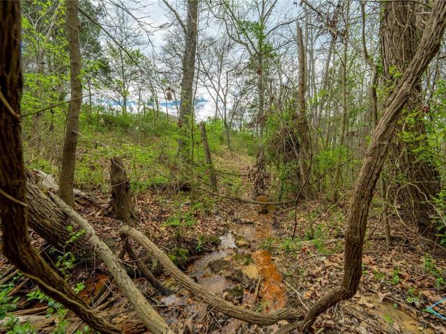 173 Lago Vista Dr, Athens, TX 75752 | MLS #20557