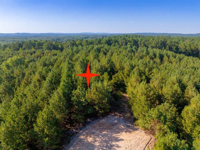 173 Legacy Mountain Trail