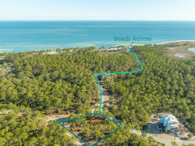 173 Lightning Bug Ln, Saint Teresa, FL 32358
