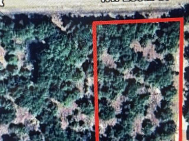 17444 NW 286th St, Okeechobee, FL 34972