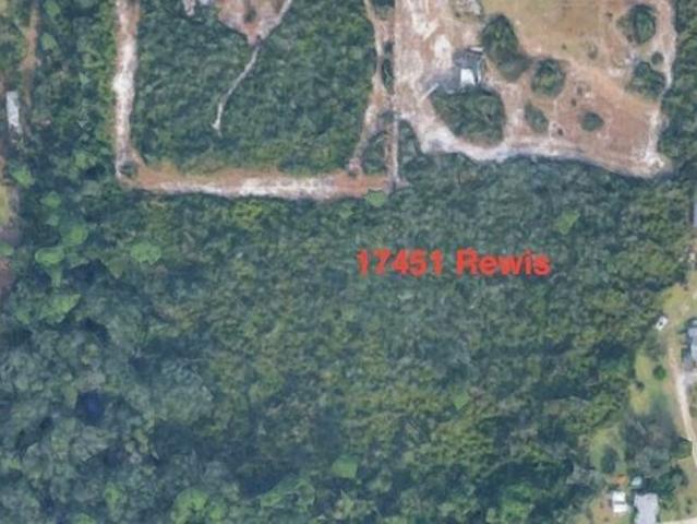 17451 Rewis Rd, Alva, FL 33920