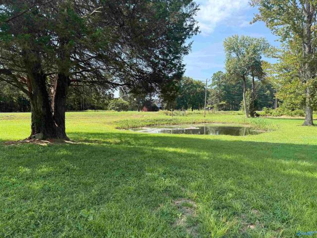 17459 County Road 460