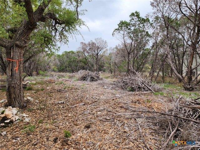 1745 Moon View Dr Lot 166, New Braunfels, TX 78132