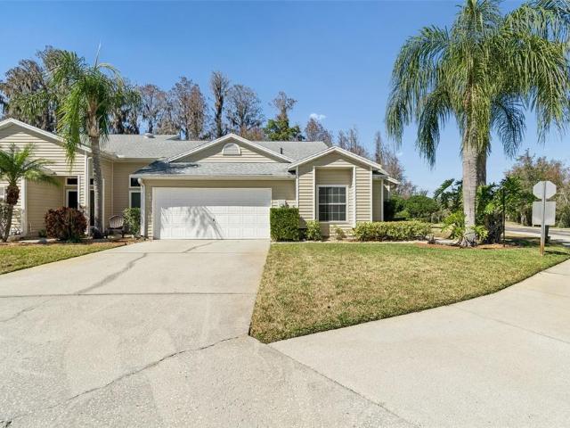 1745 Heron Cove Dr, Lutz, FL 33549 | MLS #TB8474