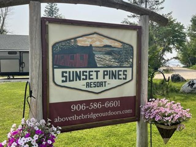17461 W Norton Rd, Gould City, MI 49838