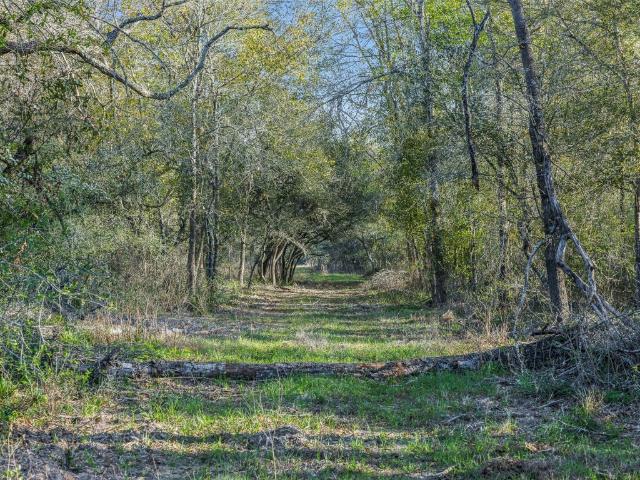 1746 County Road 103