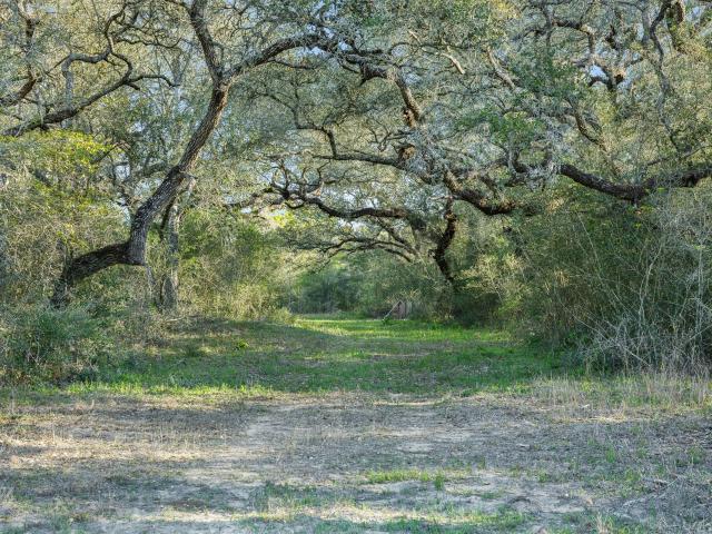 1746 County Road 103