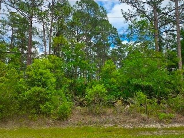 1747 Candleberry St, Bunnell, FL 32110