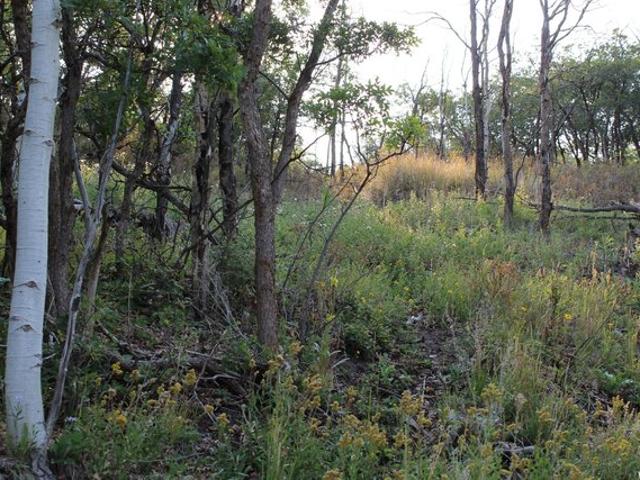1747 S Beaver Bench Rd Unit 1421, Heber City, UT 84032