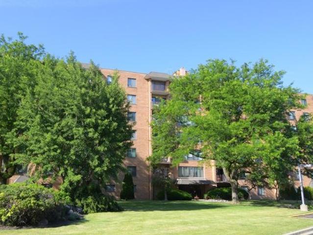 1747 W Crystal Ln Unit 207, Mount Prospect, IL 60056