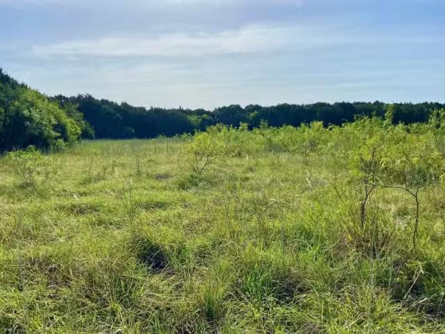 1748 Highland Dr, Whitney, TX 76692 MLS 20691768