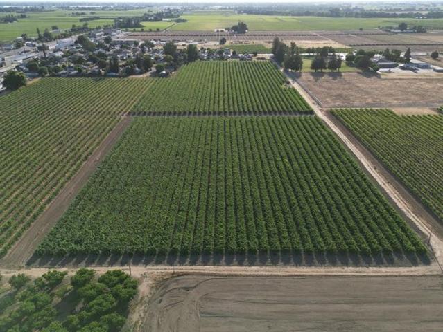 17490 N Bruella Rd, Victor, CA 95253