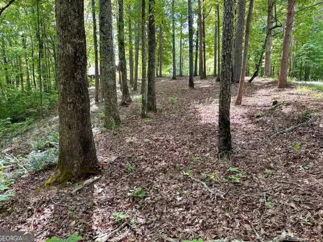 1749B Elk, Talking Rock, GA 30175 MLS 10320364