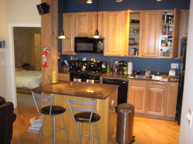 1740 N Maplewood Ave Apt 411, Chicago, IL 60647