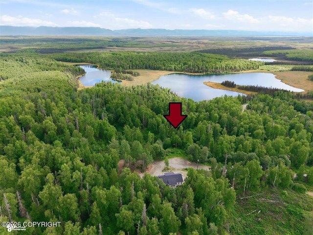 17416 W Marion Dr, Big Lake, AK 99652
