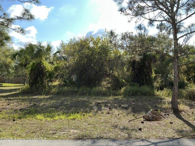 1741 Hamilton Ave SW, Palm Bay, FL 32908