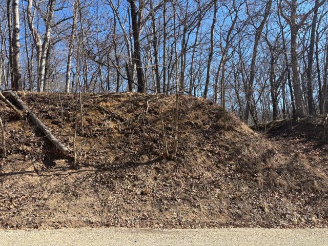 1742 Tanglewood Dr, Varna, IL 61375 | MLS #12574