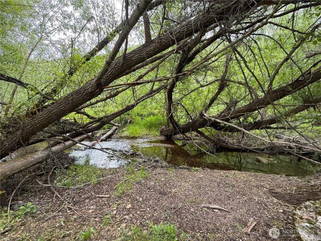 1742 Toroda Creek Road