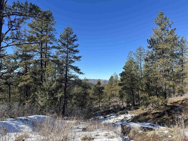 1742 W View Rd, Pagosa Springs, CO 81147