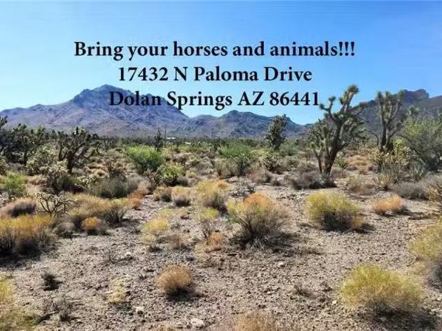 17432 N PALOMA DR, DOLAN SPRINGS, AZ 86441