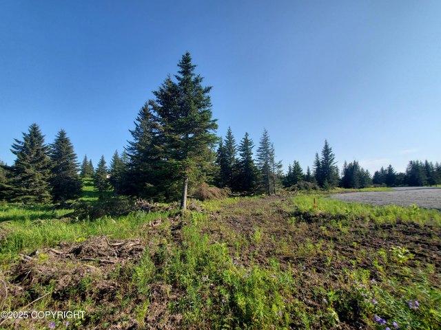 17436 Chefornak St, Ninilchik, AK 99639