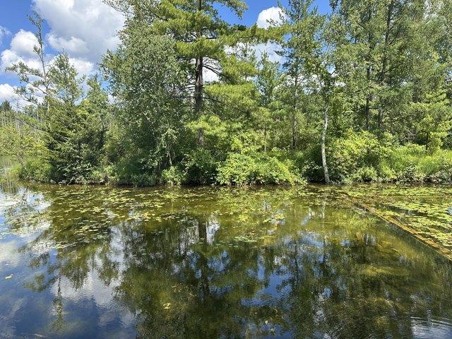 1743 W 68th St, Baldwin, MI 49304