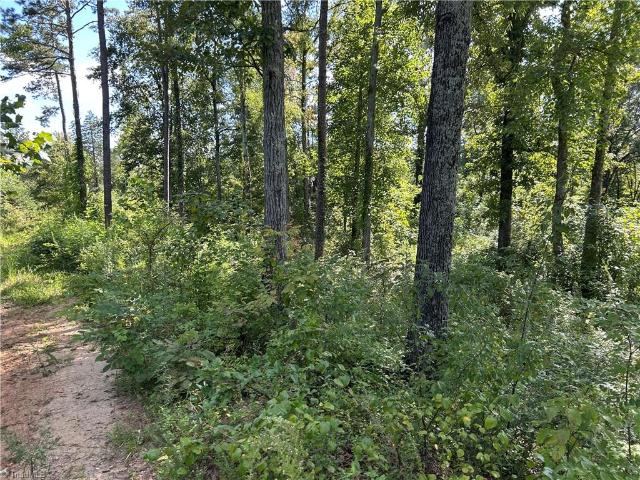 174 Eric Rd, Mocksville, NC 27028 | MLS #1193 | Compass