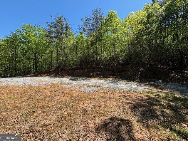 174 Forbes Dr, Cleveland, GA 30528