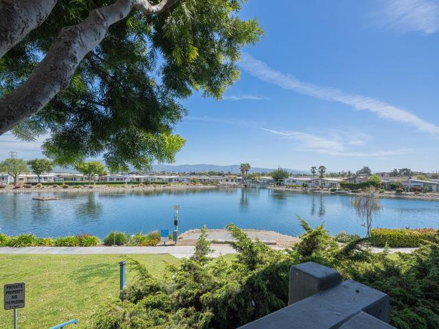 174 Kern Street # 36