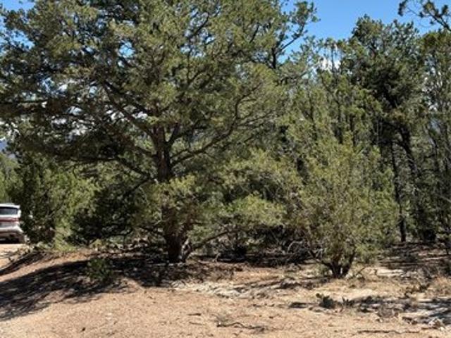 174 Hidden Valley Ranch Rd, San Ysidro, NM 87538