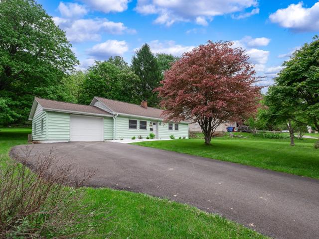 174 Mulberry
