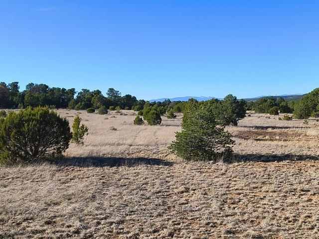 174 Tierra Del Dios Rd, Rowe, NM 87567