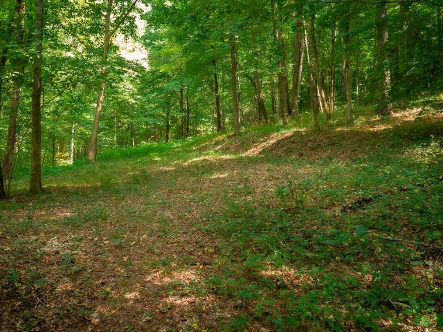 1754 Oakbrook Trail, Ooltewah, TN 37363 | MLS #1520 | Compass