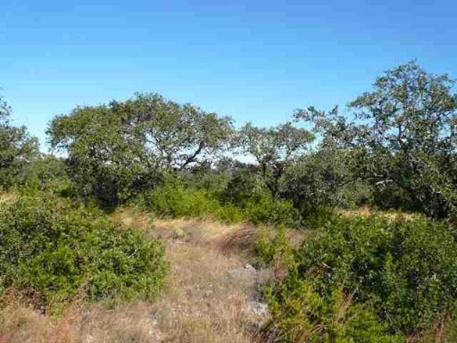 17550 County Road 175