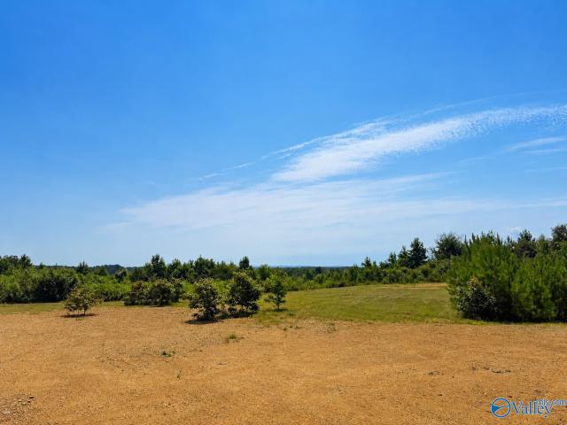 1755 County Road 155