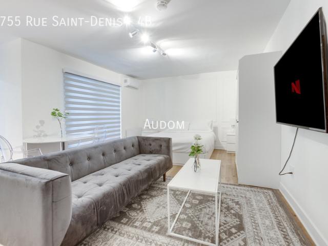 1755 Rue Saint Denis, Studio, 1 full bath