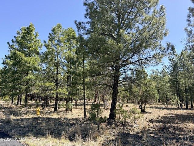 1755 Sugar Pine Dr, Happy Jack, AZ 86024