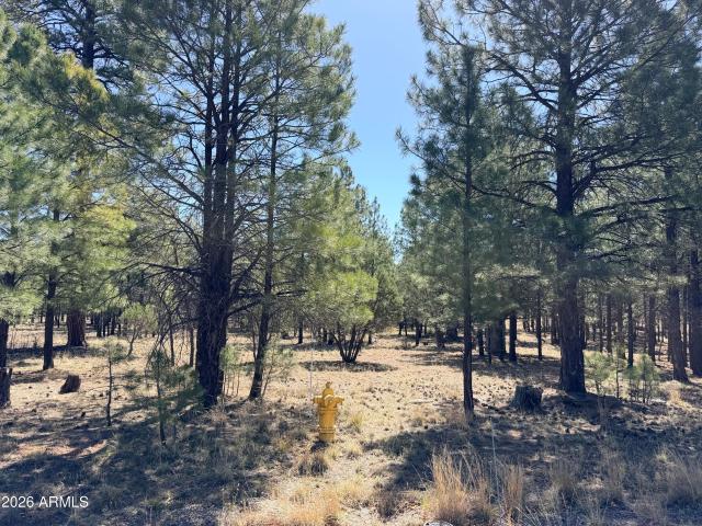 1755 sugar pine drive # 232