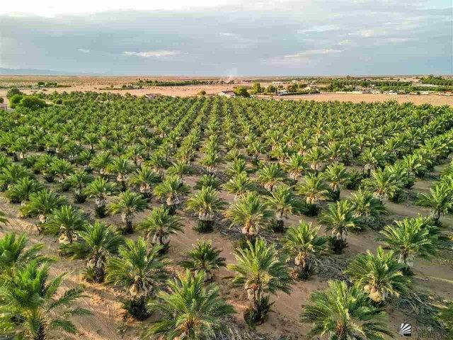 17587 S Ave # 31 & 2E, Yuma, AZ 85365