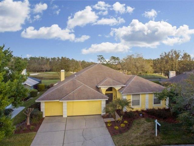 17503 Edinburgh Dr, Tampa, FL 33647